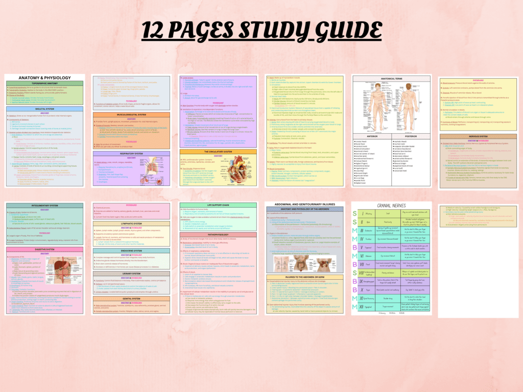 Anatomy AND Physiology Study Guide - Study In Nursing