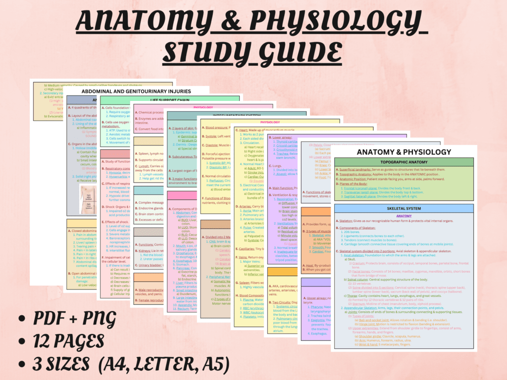 Anatomy AND Physiology Study Guide - Study In Nursing